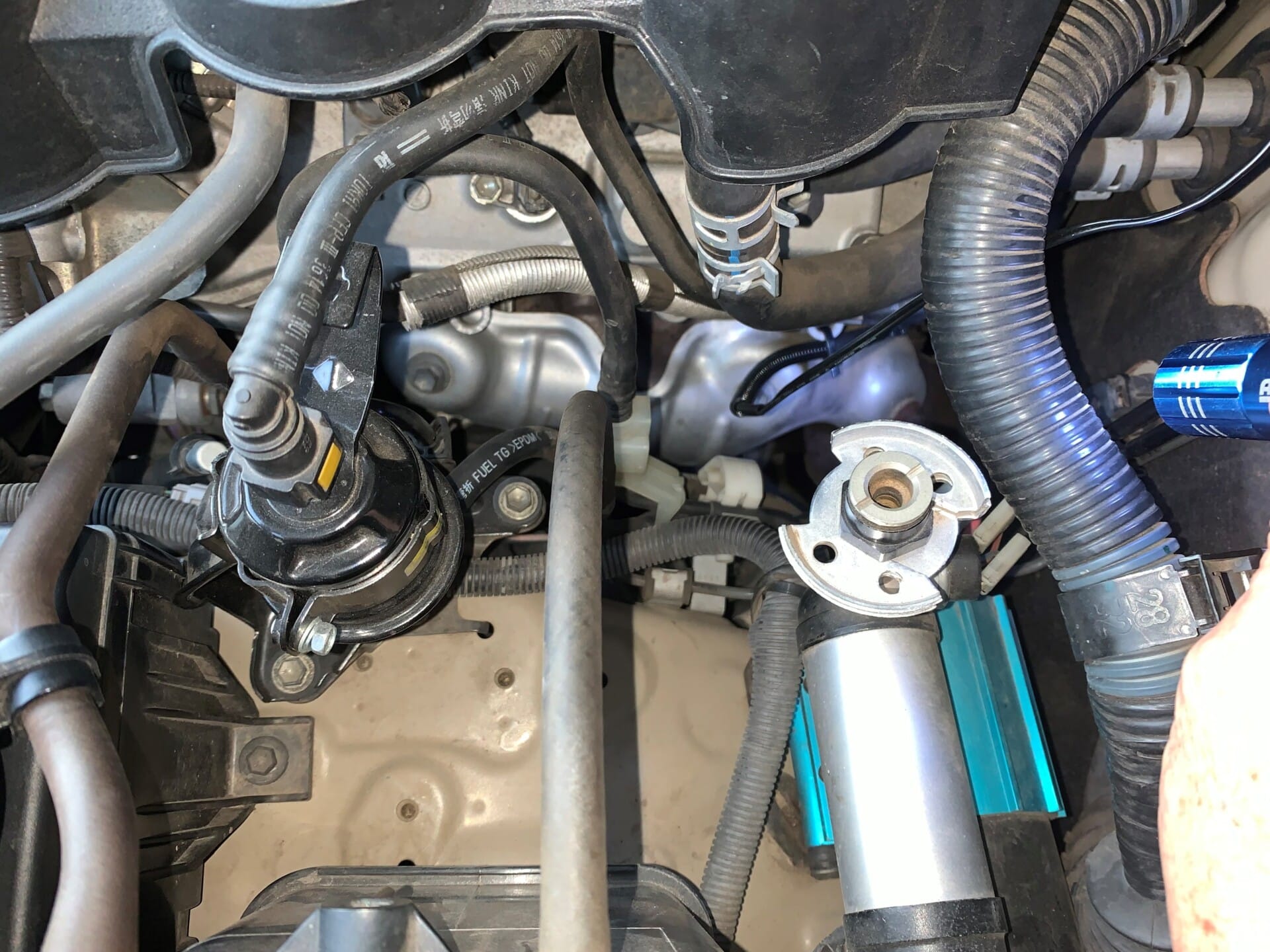 FJ Cruiser Beach recovery vehicle | Engine Guard